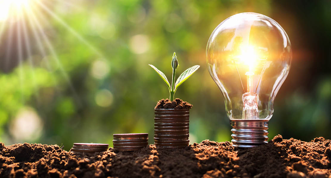 Auto Enrolment Retirement Savings System Ireland | Employer Solutions ...